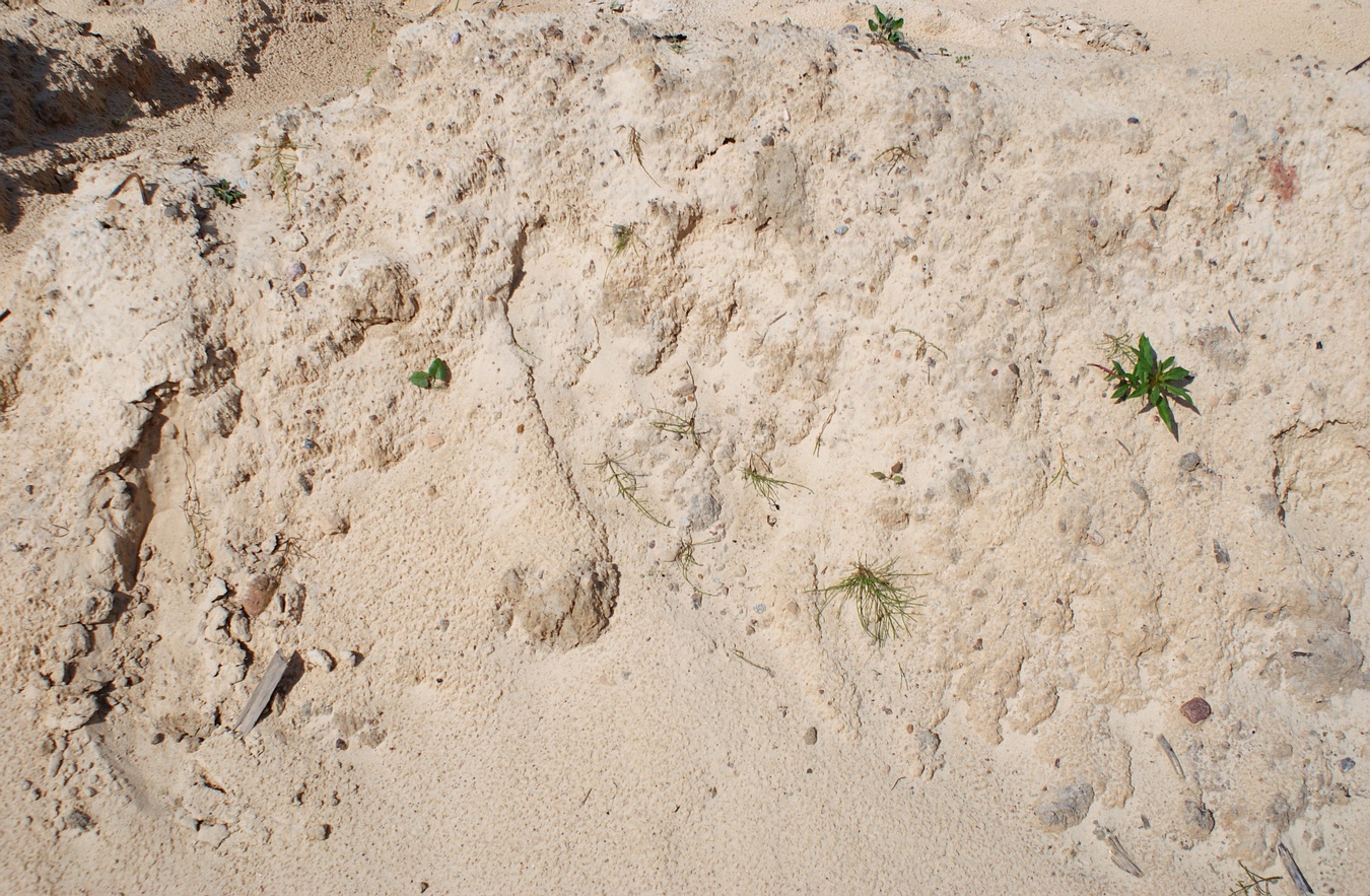 ground sand 1604 2006 Small — Postimages
