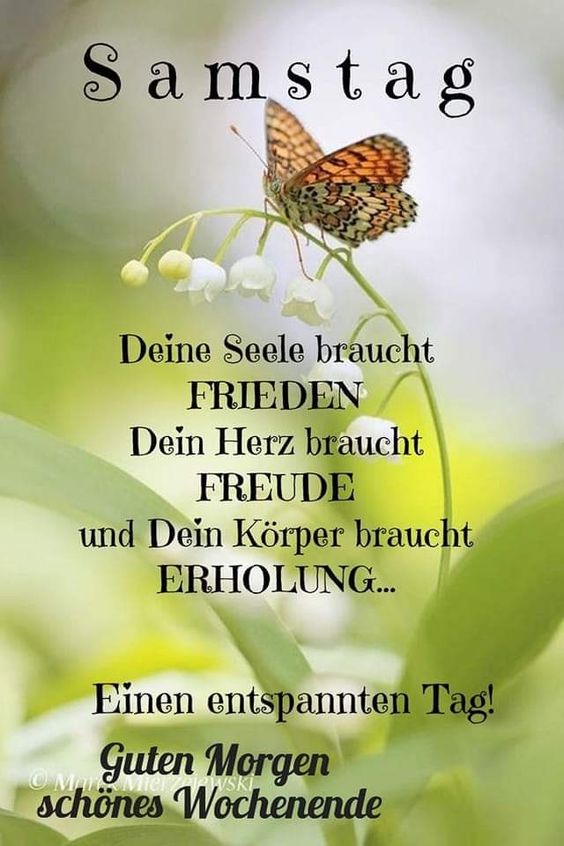 3fa6c5ee739872df15ddd168325022ea — Postimages