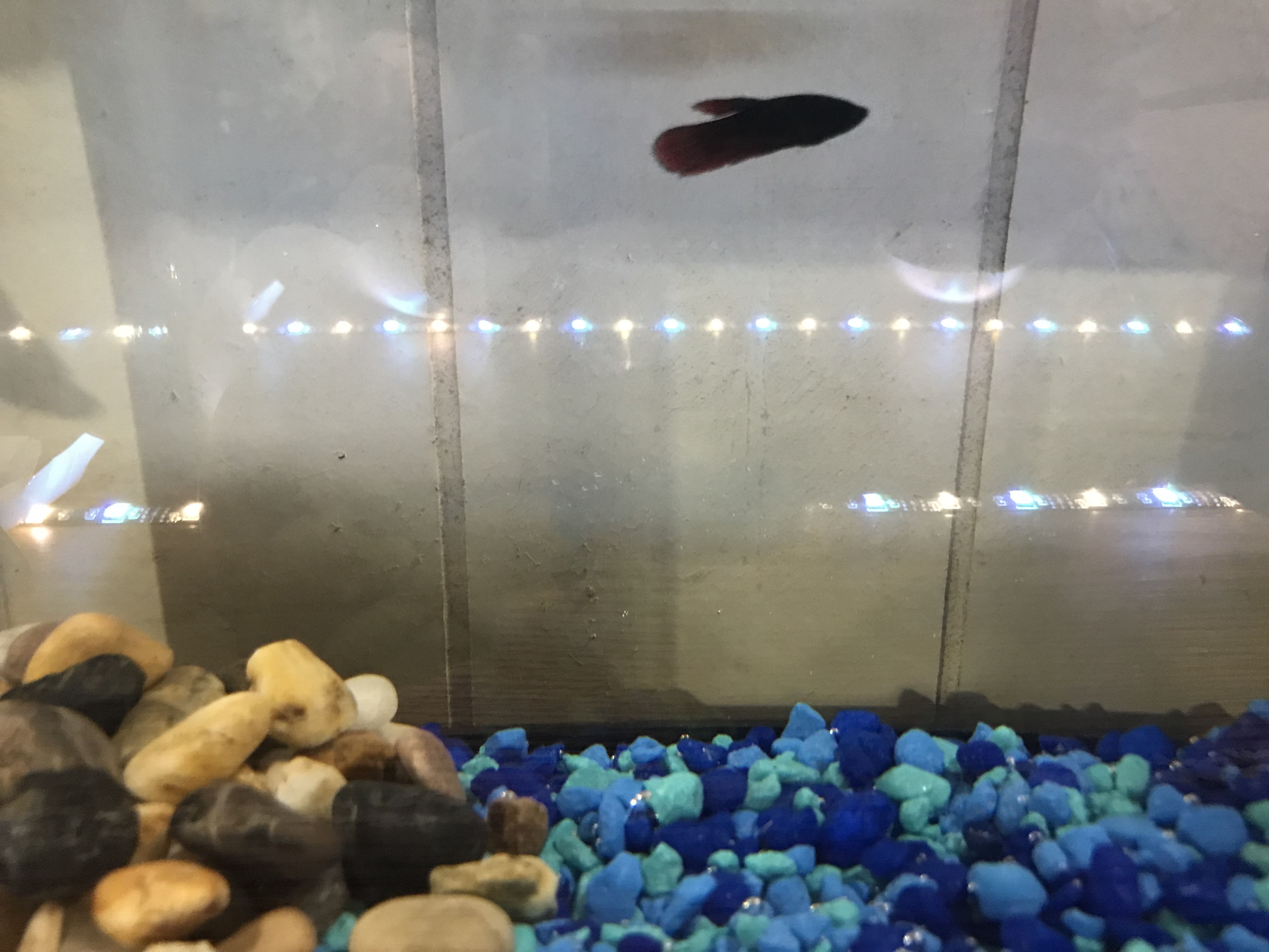 3 A1 C9 D4 C DD7 C 4015 88 E9 DF87 BA903 BE4 — Postimages