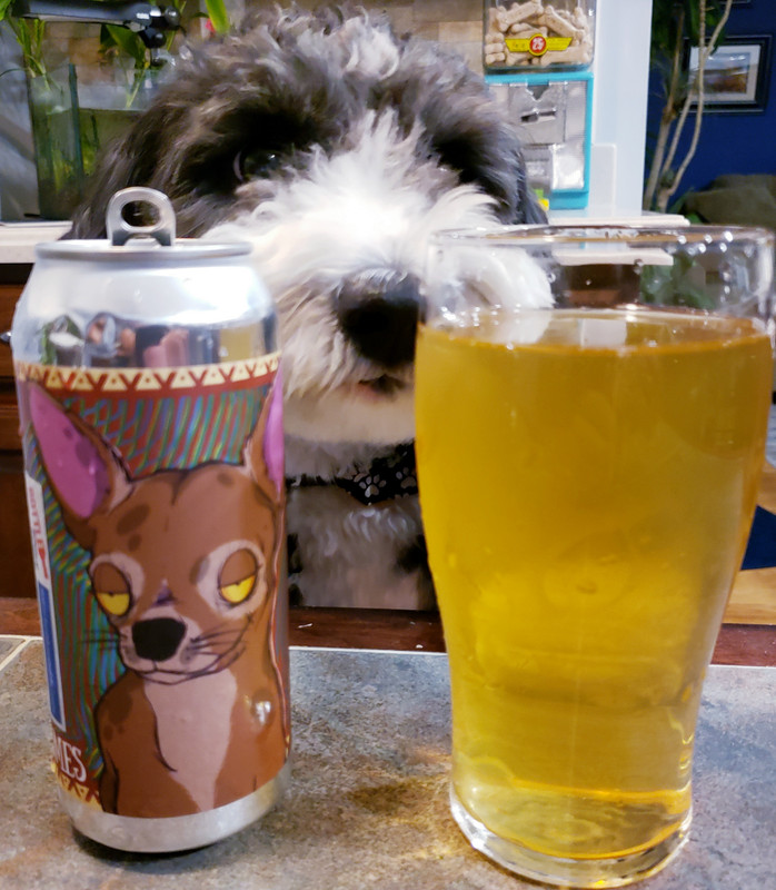 20220822 214900 — Postimages