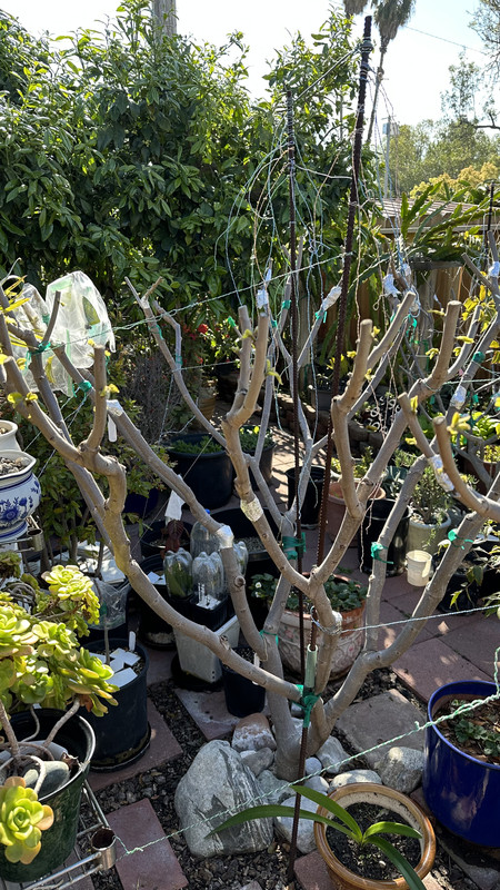 4460 D902 FE22 4 B04 B648 6376 F7168 A03 — Postimages