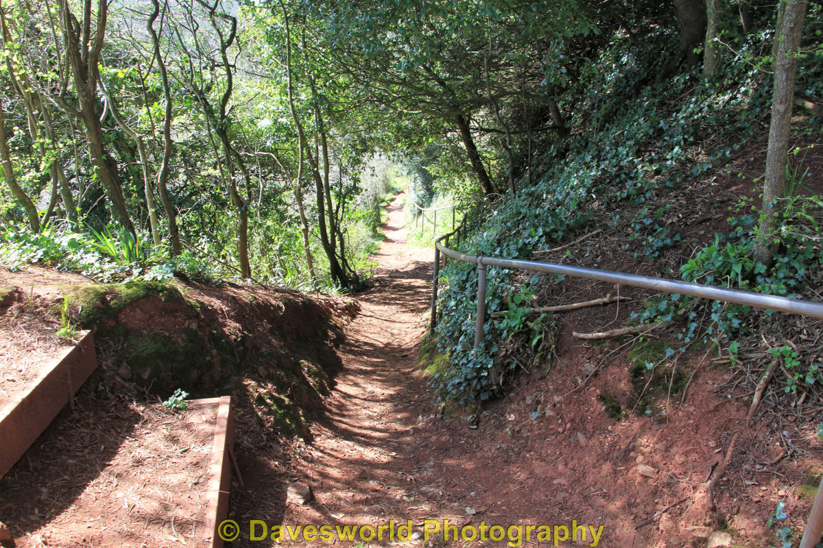 IMG 0084 — Postimages