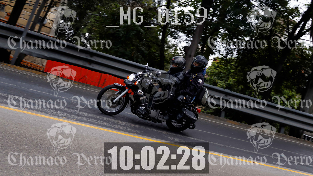 MUESTRA MG 0159 — Postimages