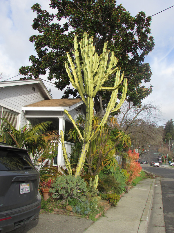 IMG 5479 — Postimages