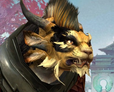 Thoughts on Charr Faces? - Guild Wars 2 Discussion - Guild Wars 2 Forums