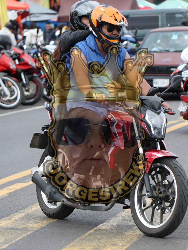 IMG 1203 — Postimages