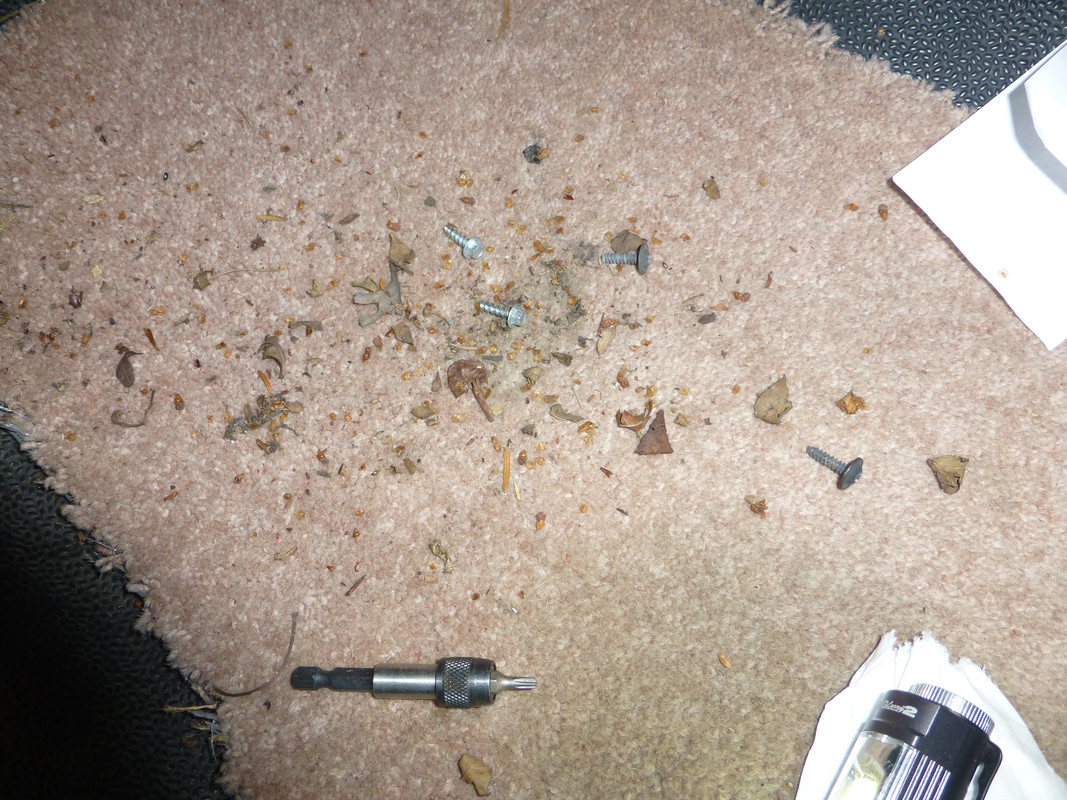 filter (1) — Postimages