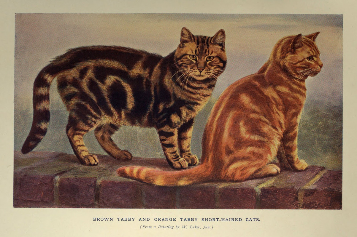 08 The book of the cat 12 — Postimages