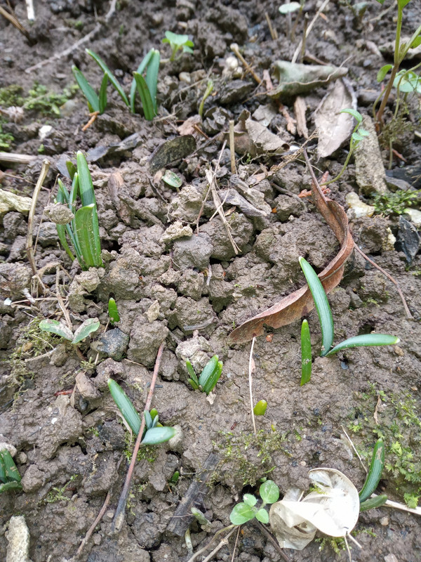 IMG 20240204 133704 489 — Postimages