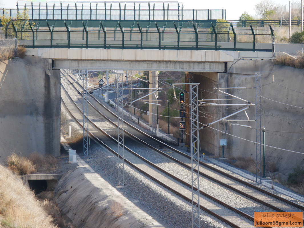 2024 Febrero (29) Bif La Feredat — Postimages