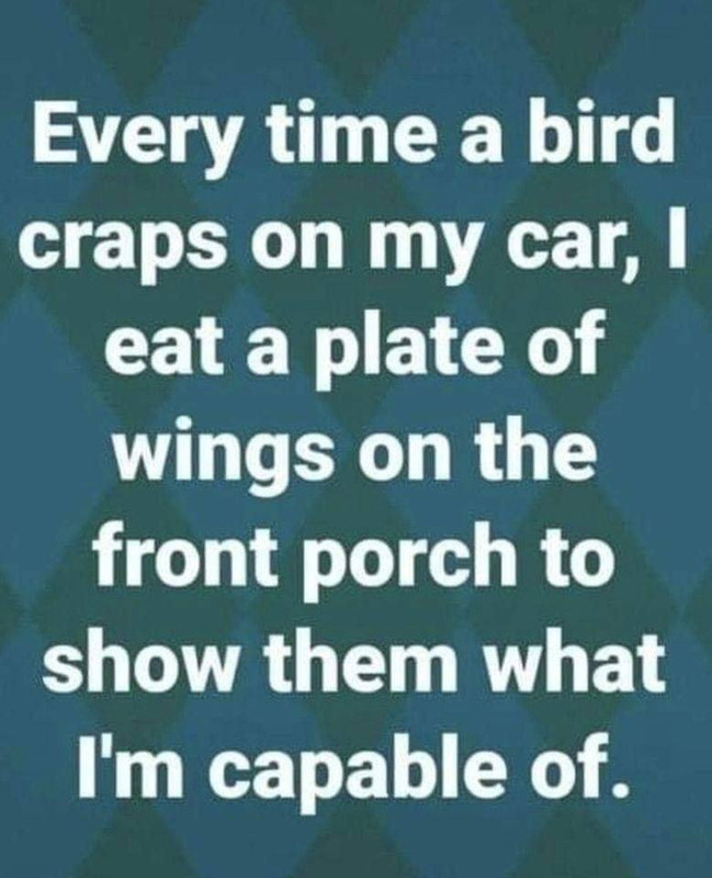 9 A8 C913 F 7 F43 47 BD 9 FAF 746 FF287 B84 C — Postimages