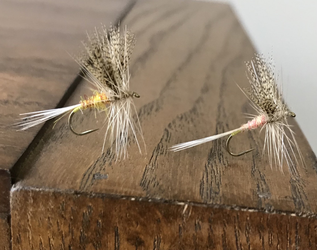 BA2 C94 D7 EA91 42 F0 A6 C5 FE10 CAF1 A347 — Postimages