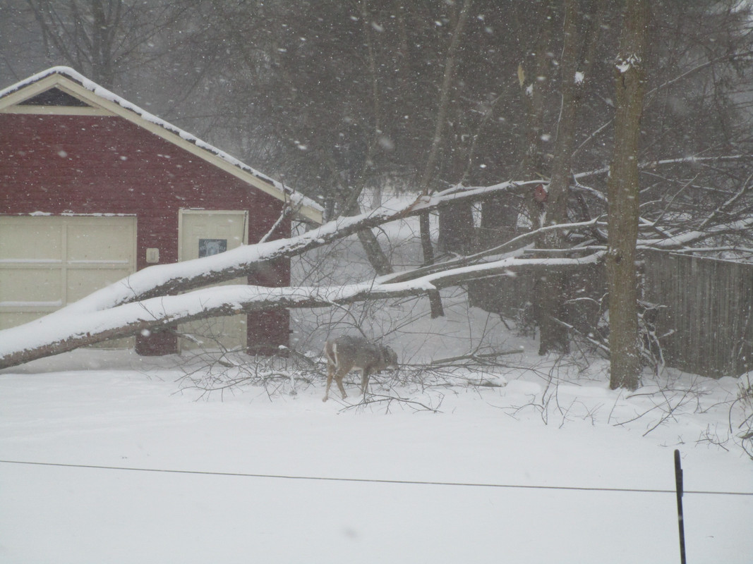 IMG 0872 — Postimages