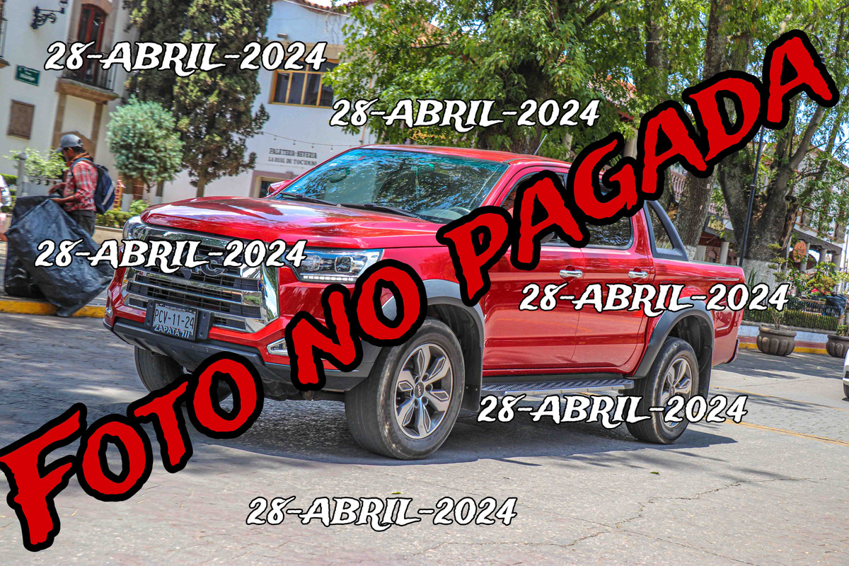 SV 204 — Postimages