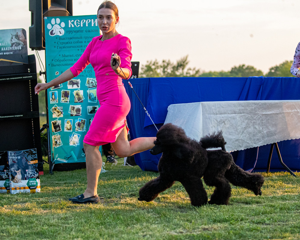 КВ 4371 — Postimages