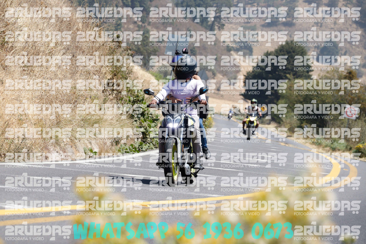 MG 1034 — Postimages