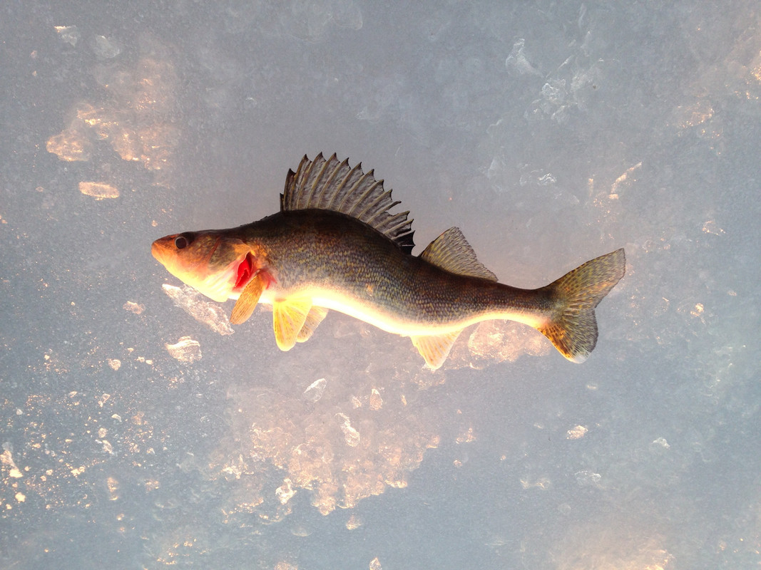 6 C104782 52 C7 4307 903 C FDC6 AC3 D1032 — Postimages