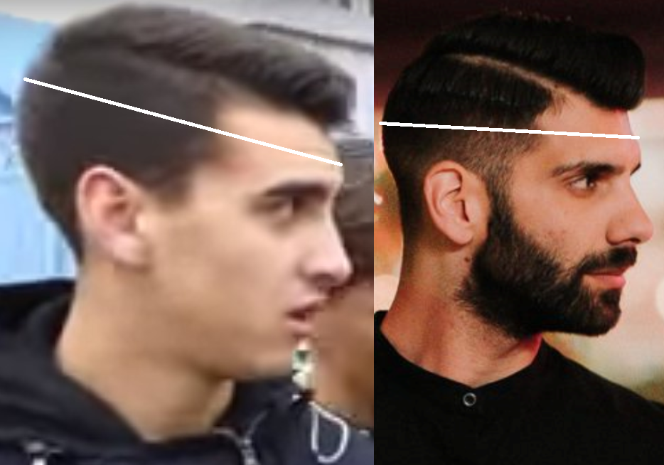 Article 7: Height-Length Index