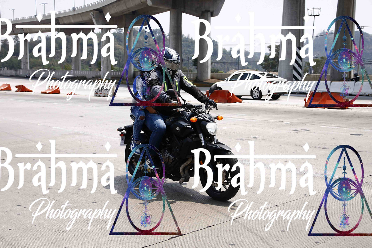 MG 4848 — Postimages