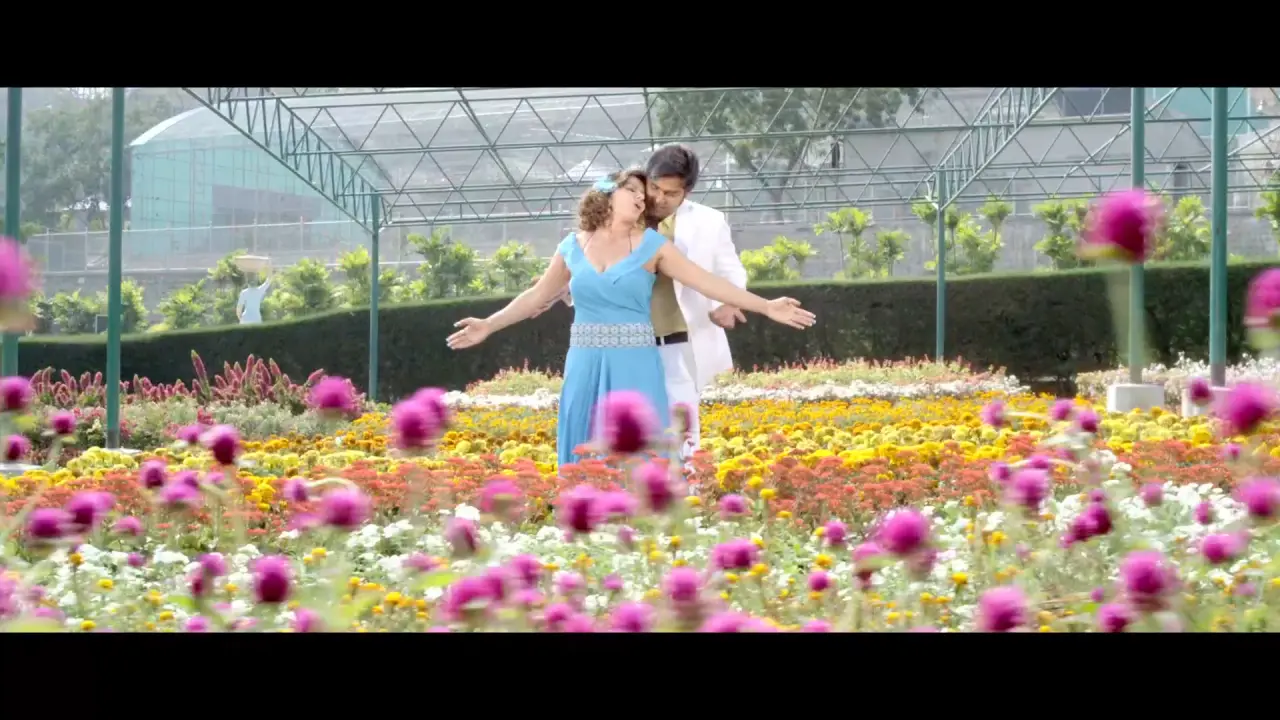 f 245 — Postimages