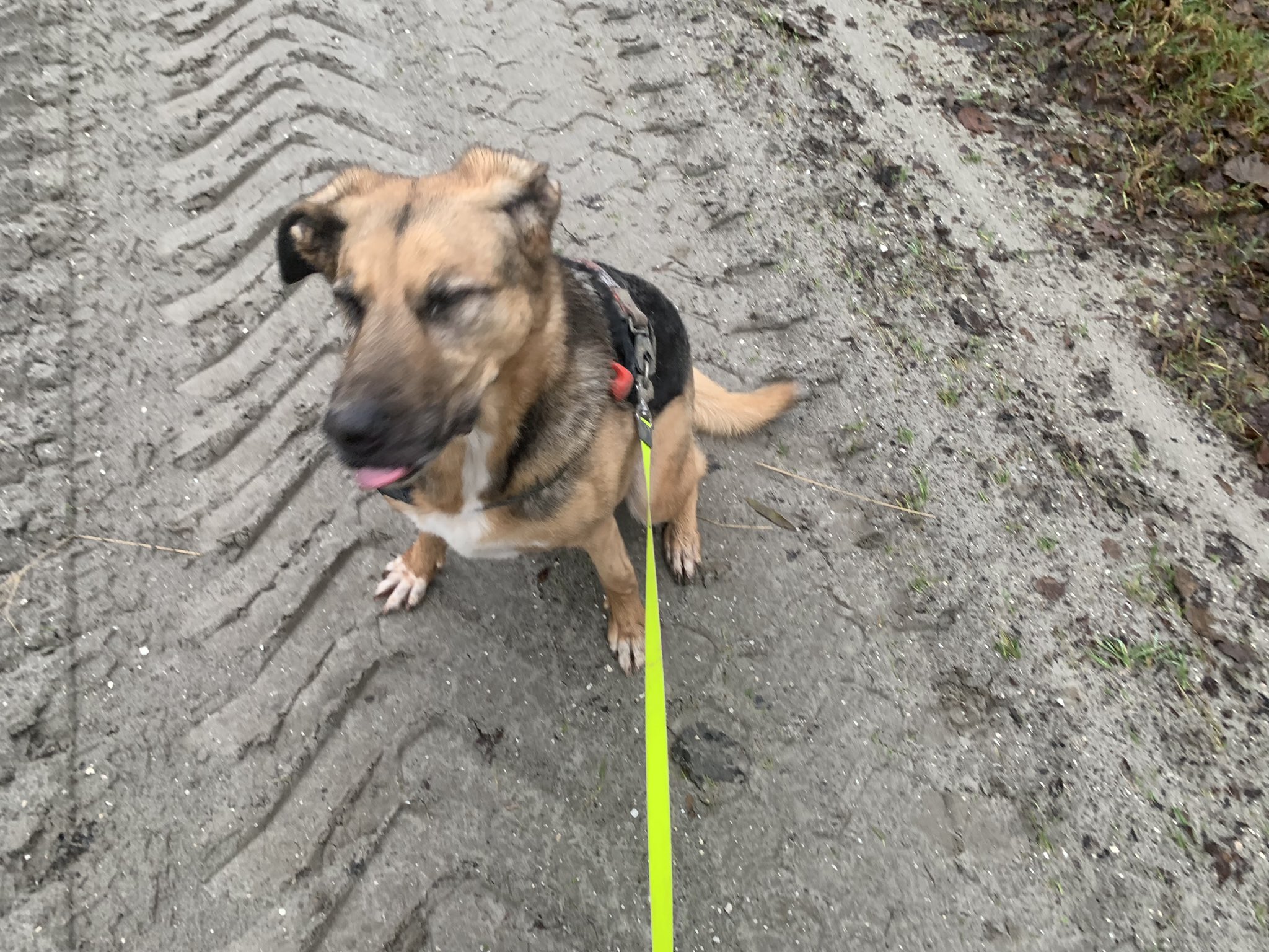 FGjy Vy QXIAEjg23 — Postimages