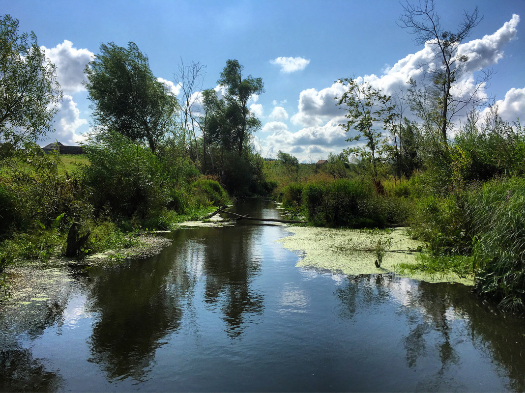 IMG 7376 — Postimages