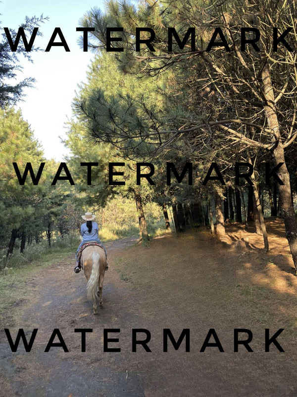 1670478579570 edited — Postimages