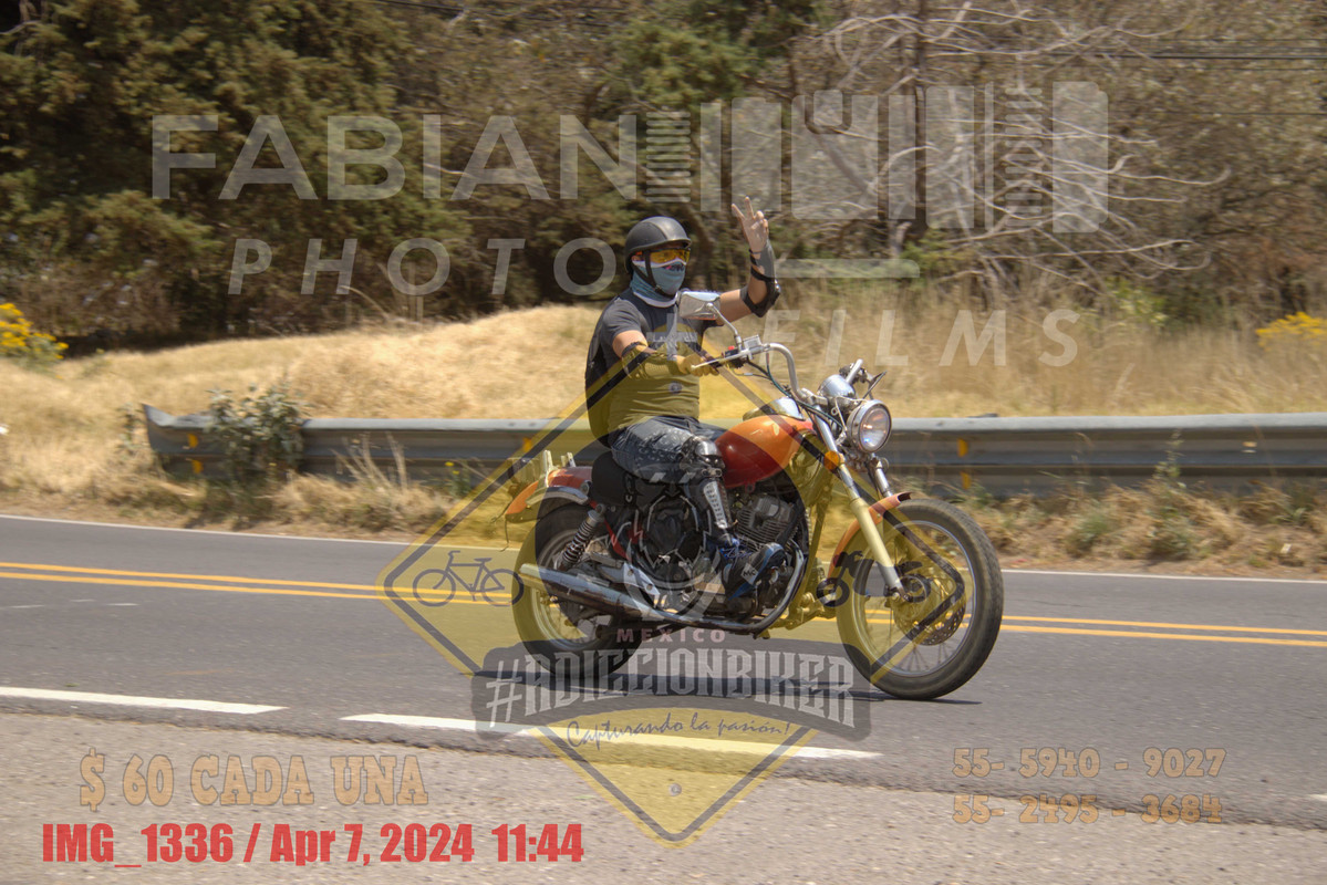 IMG 1336 — Postimages