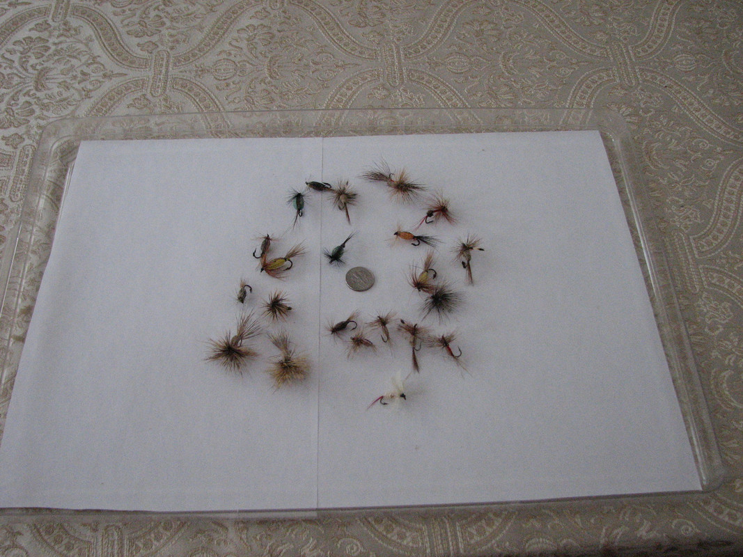 crandall flies 1 — Postimages