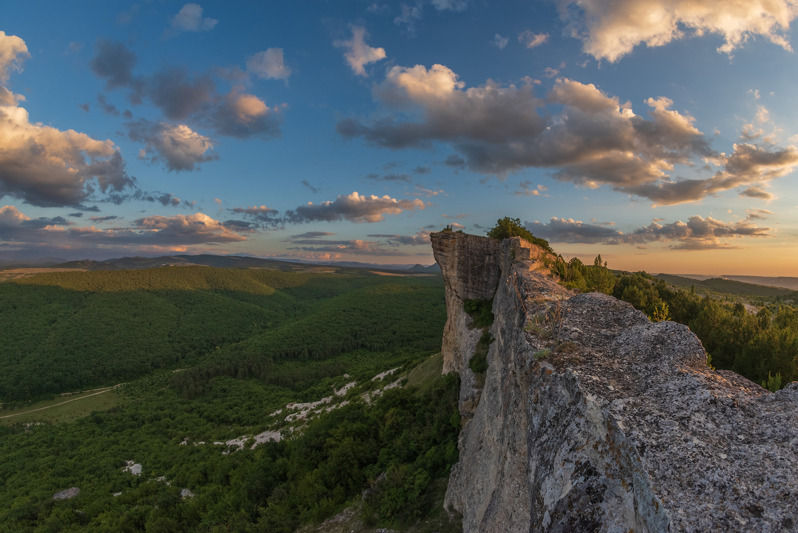 V0002336 1600 — Postimages