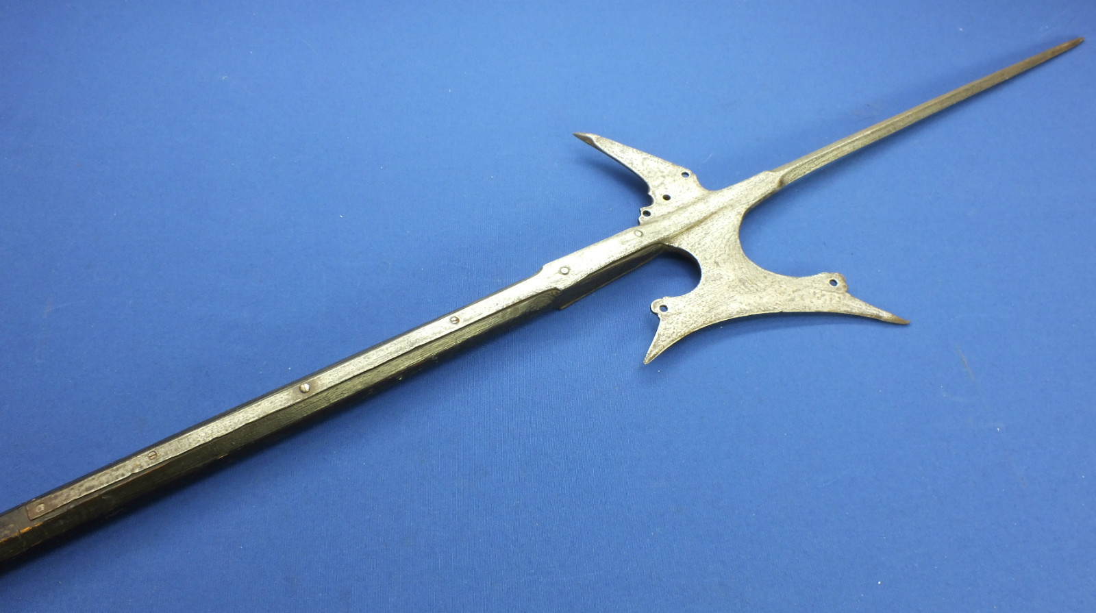 One of my players is using a halberd and after the second game he ...