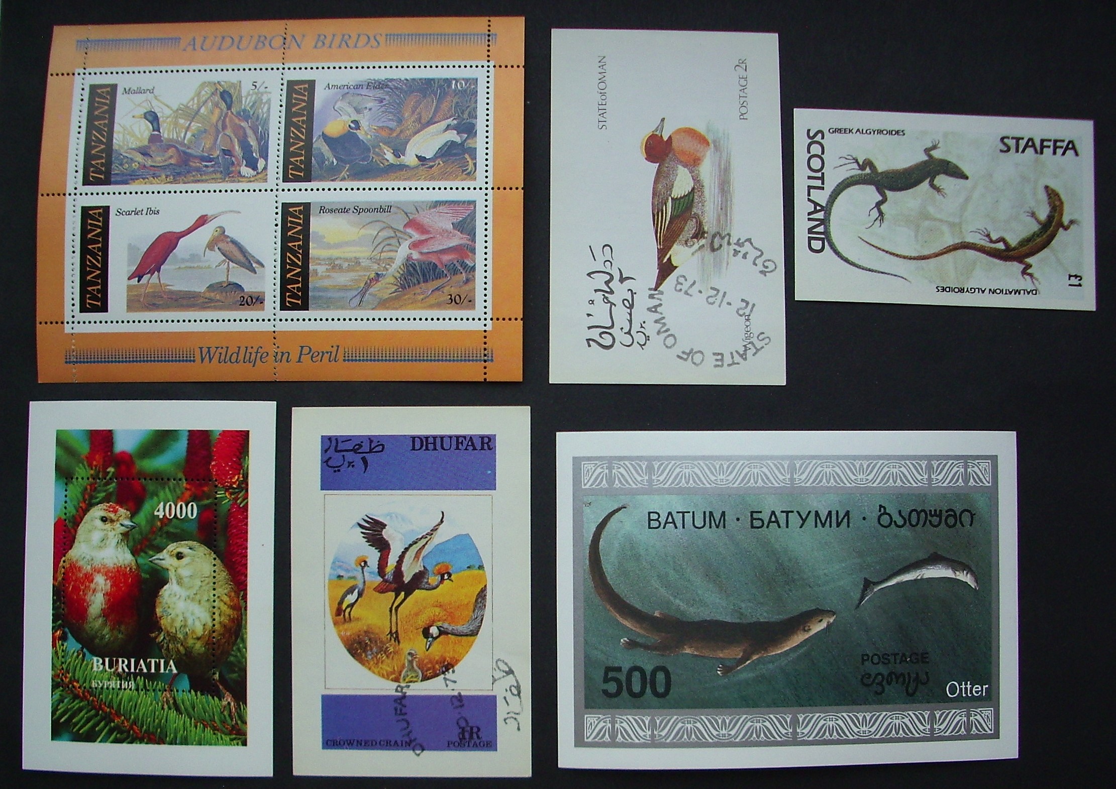 IMG 7989 — Postimages