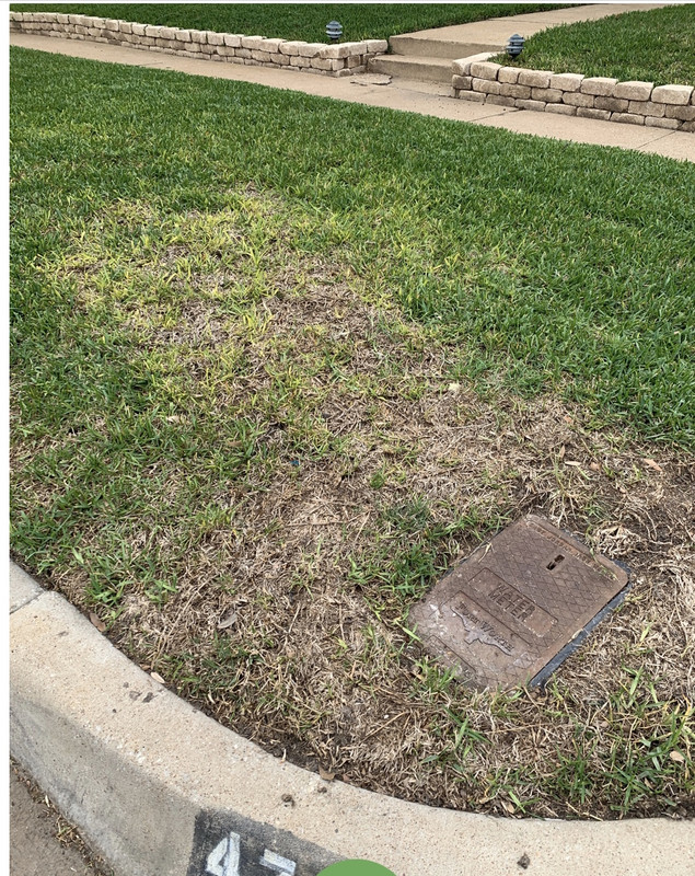 Take all Root Rot | Lawn Care Forum