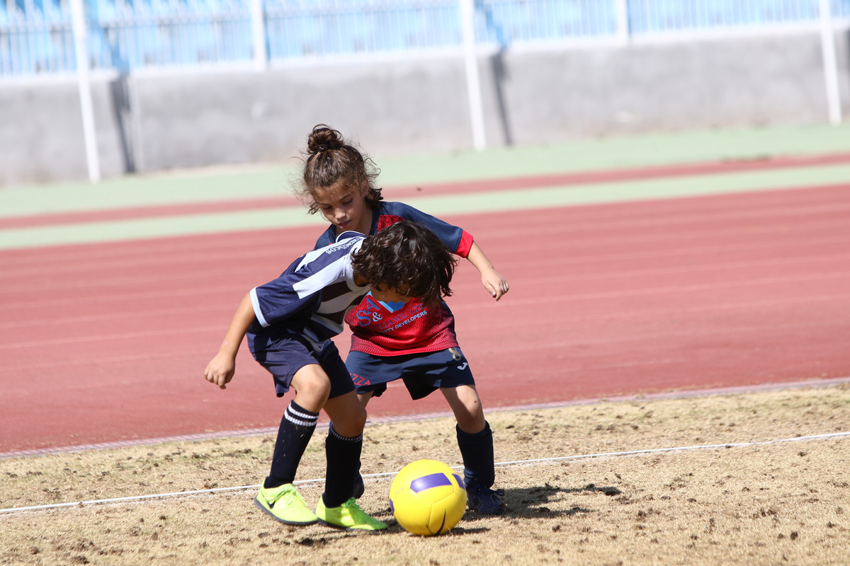 VIK 2027 — Postimages