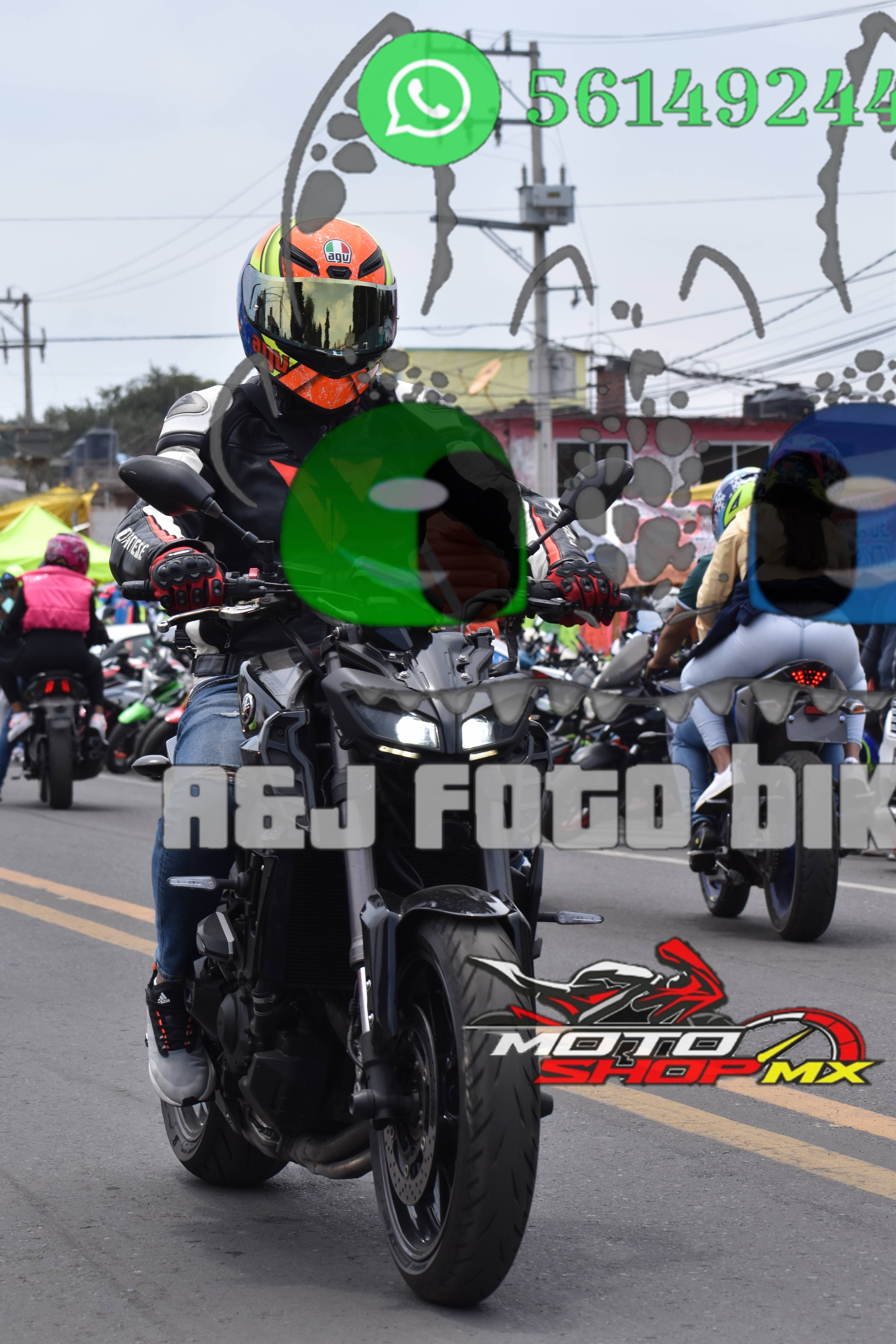 AVQ 1548 — Postimages