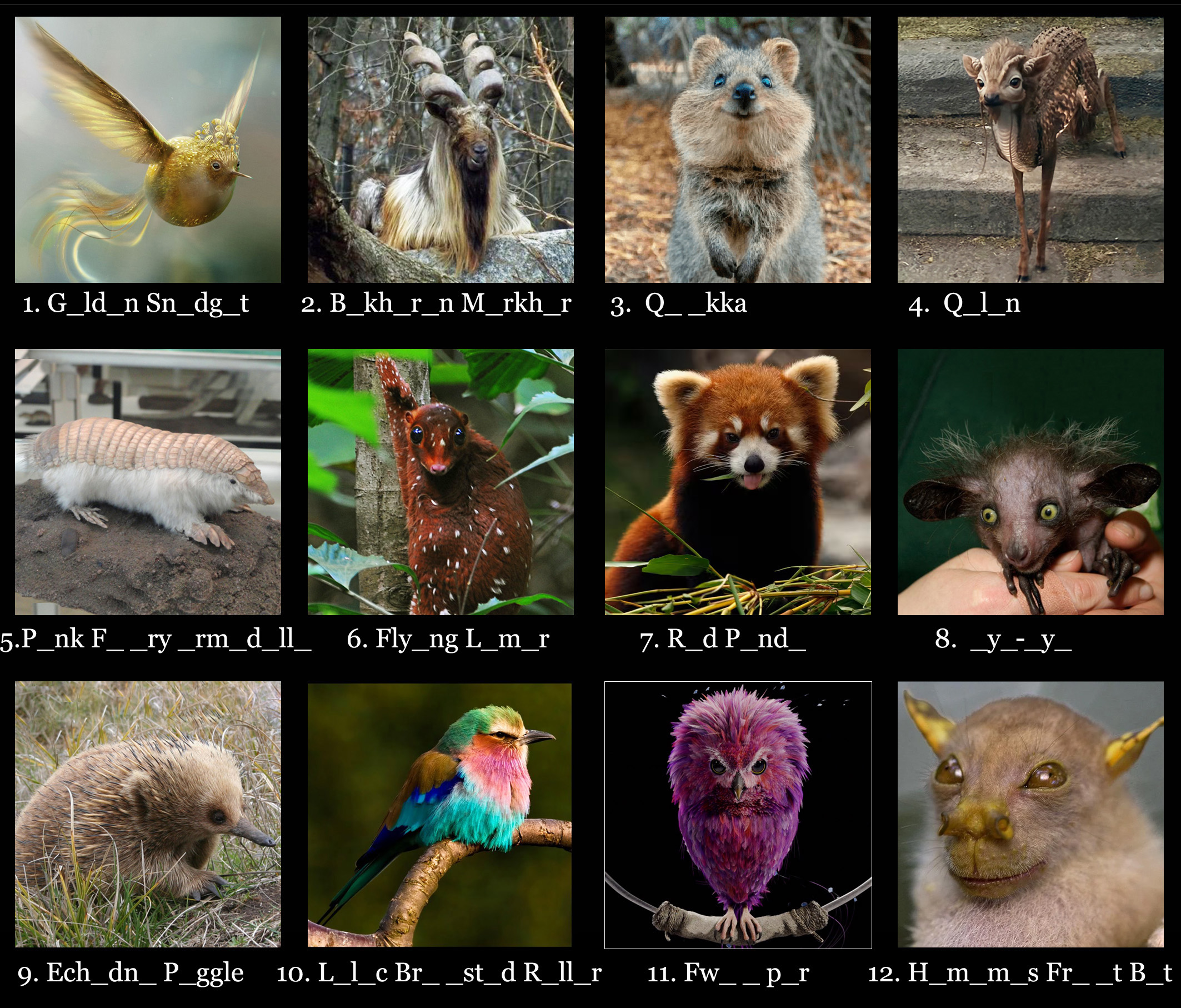 Grid numbered — Postimages