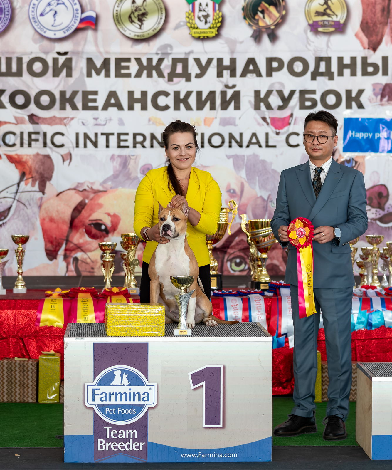 01 201 — Postimages