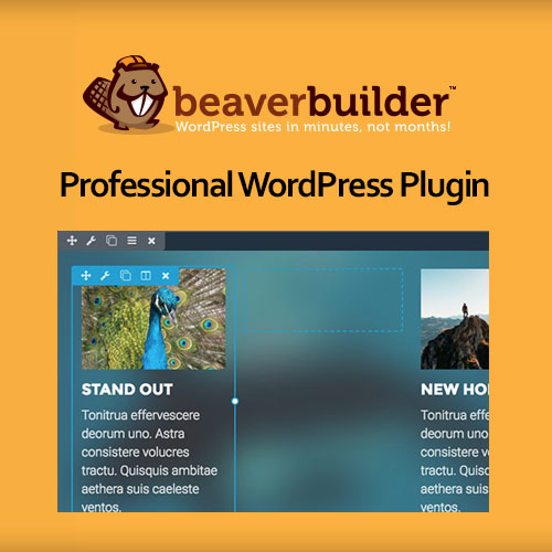 Beaver Builder Professional Word Press Plugin — Postimages