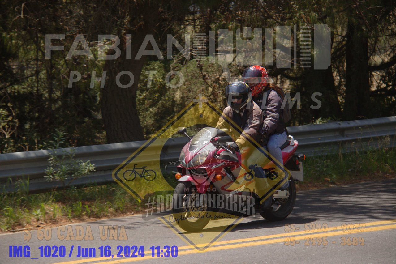 IMG 1020 — Postimages