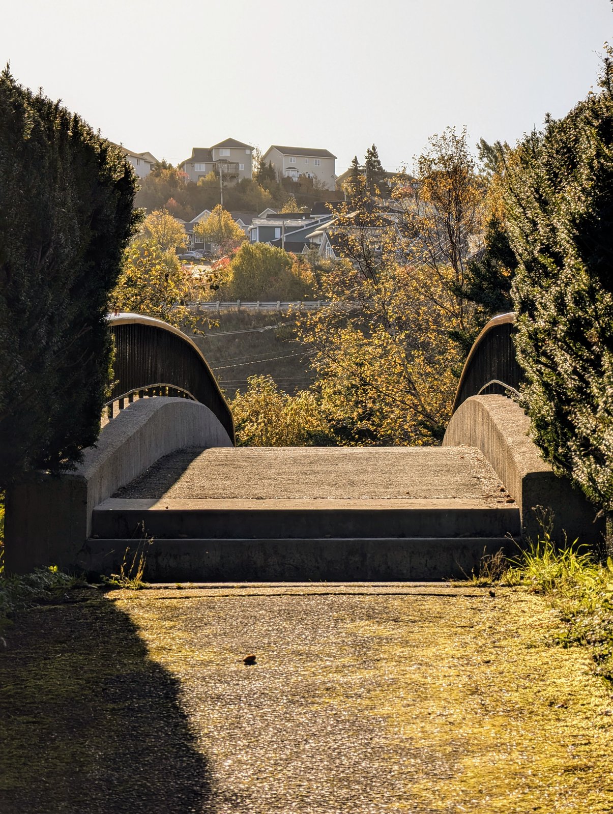 PXL 20241020 121624001 MP 2 — Postimages