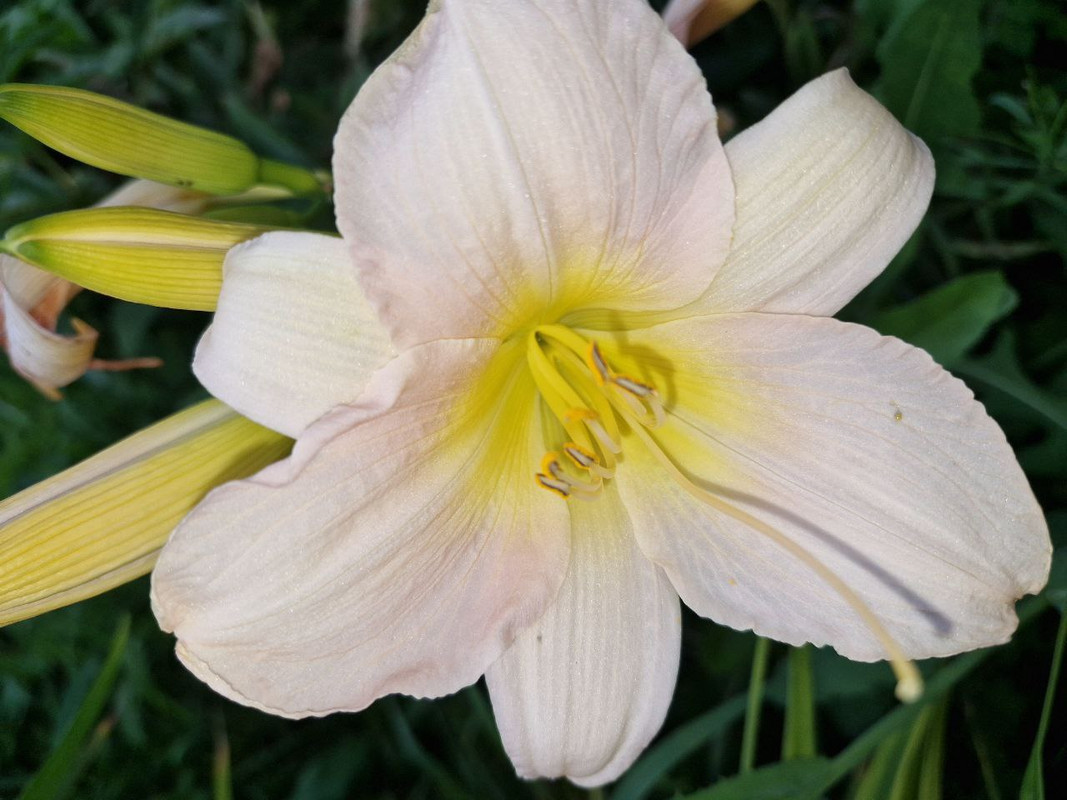 IMG 20240730 200610 232 — Postimages