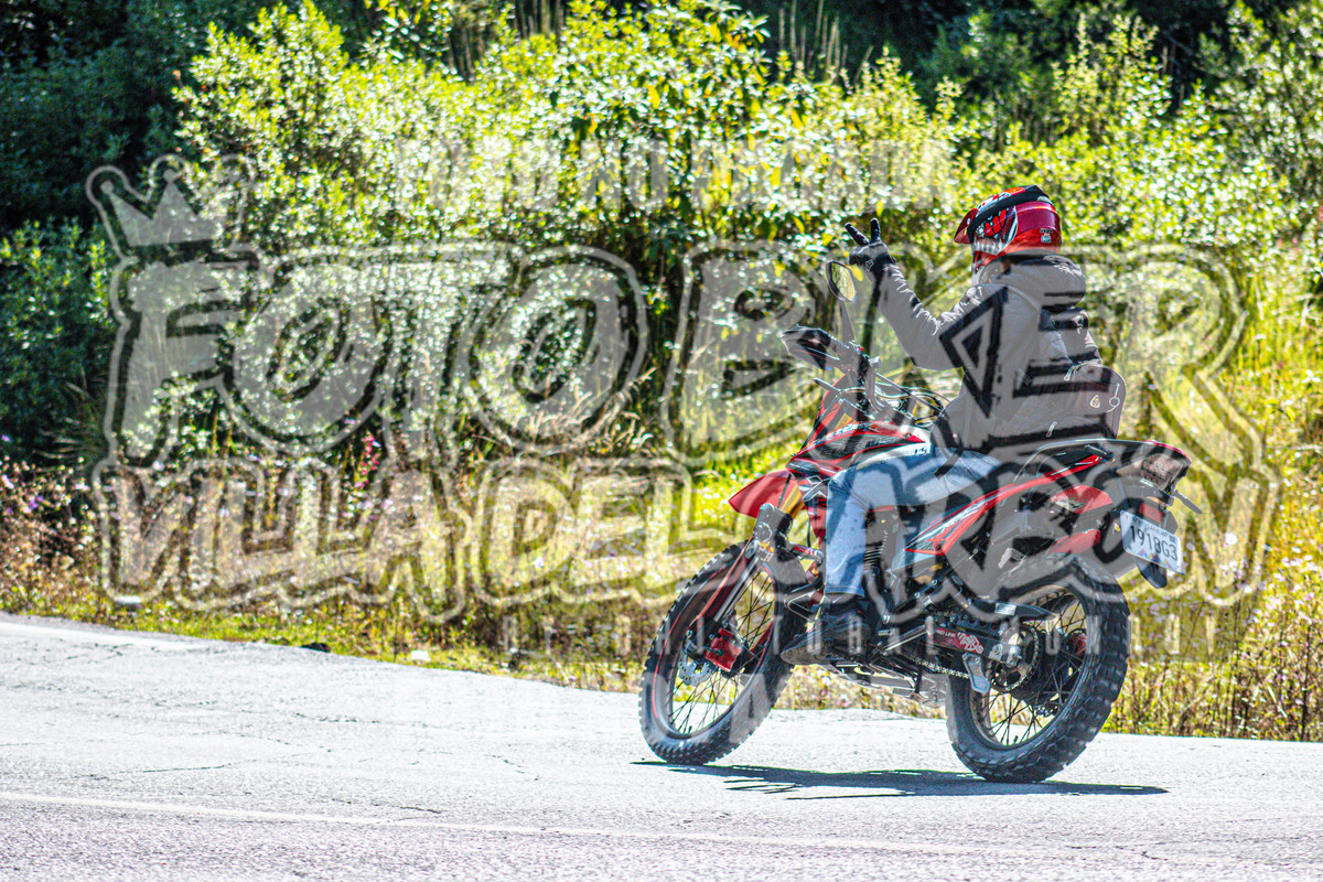 CV 12 — Postimages