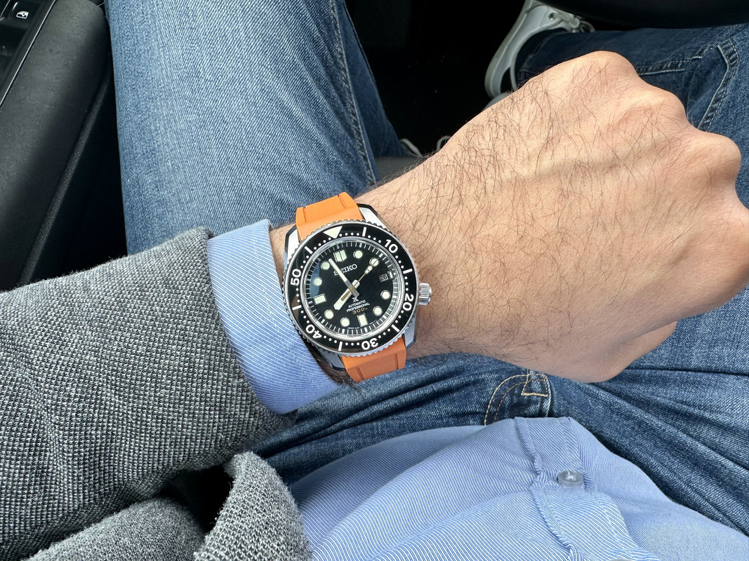 IMG 3313 — Postimages