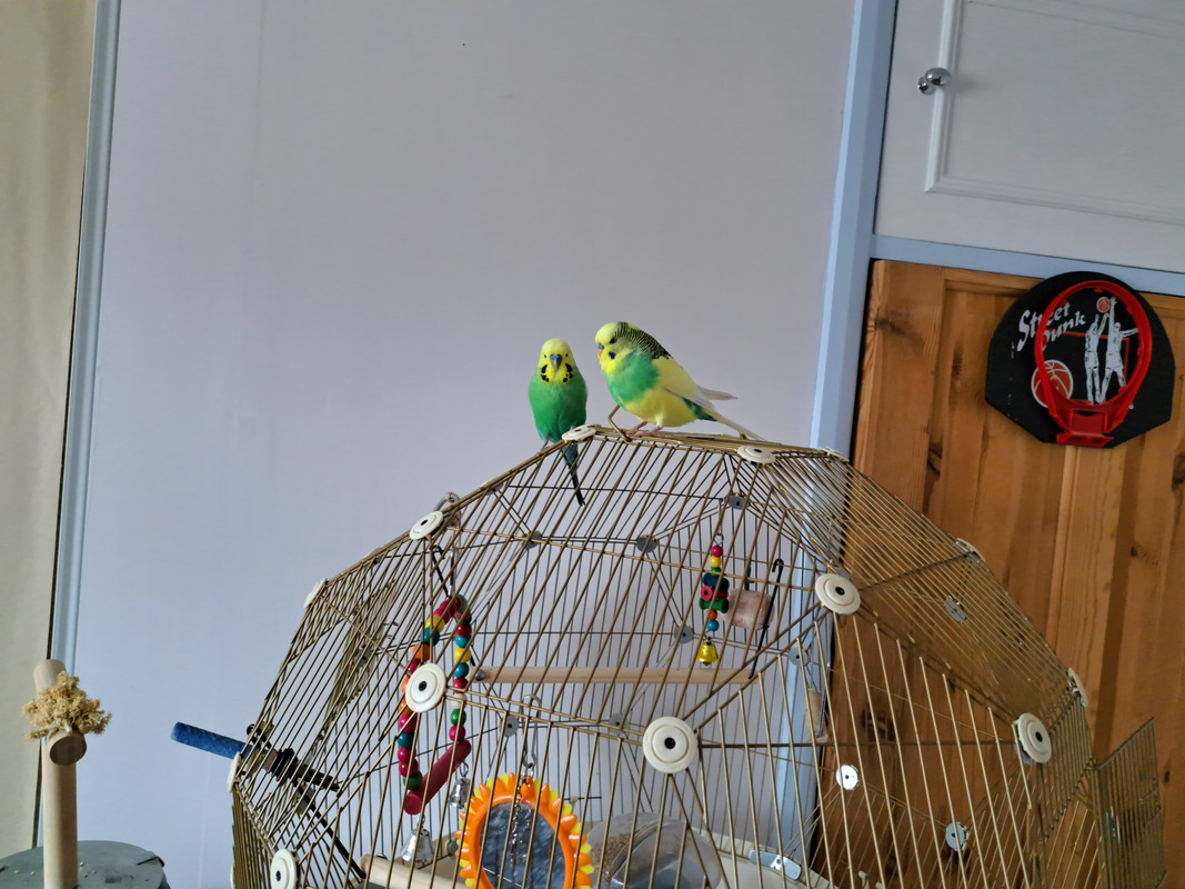 20230608 141411 — Postimages