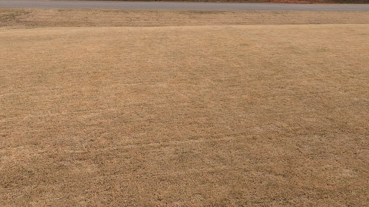 Front Yard1 — Postimages