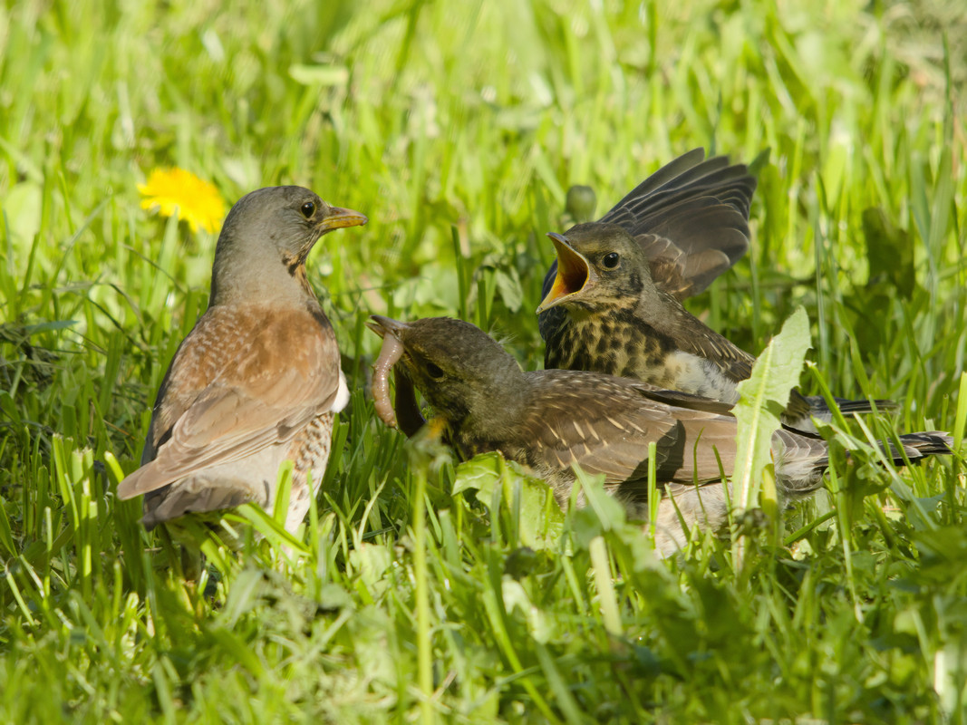 0 F3 A6631 topaz denoise sharpen — Postimages