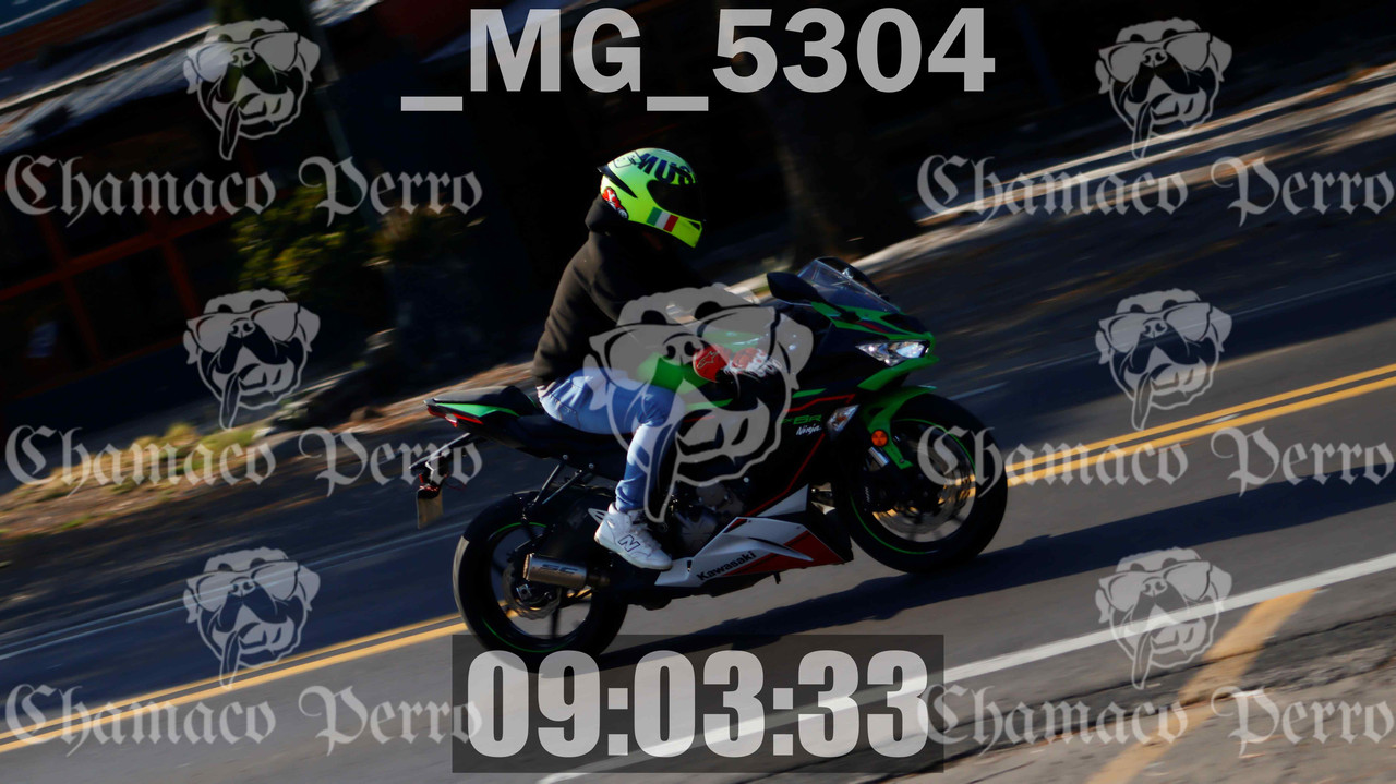 MUESTRA MG 5304 — Postimages