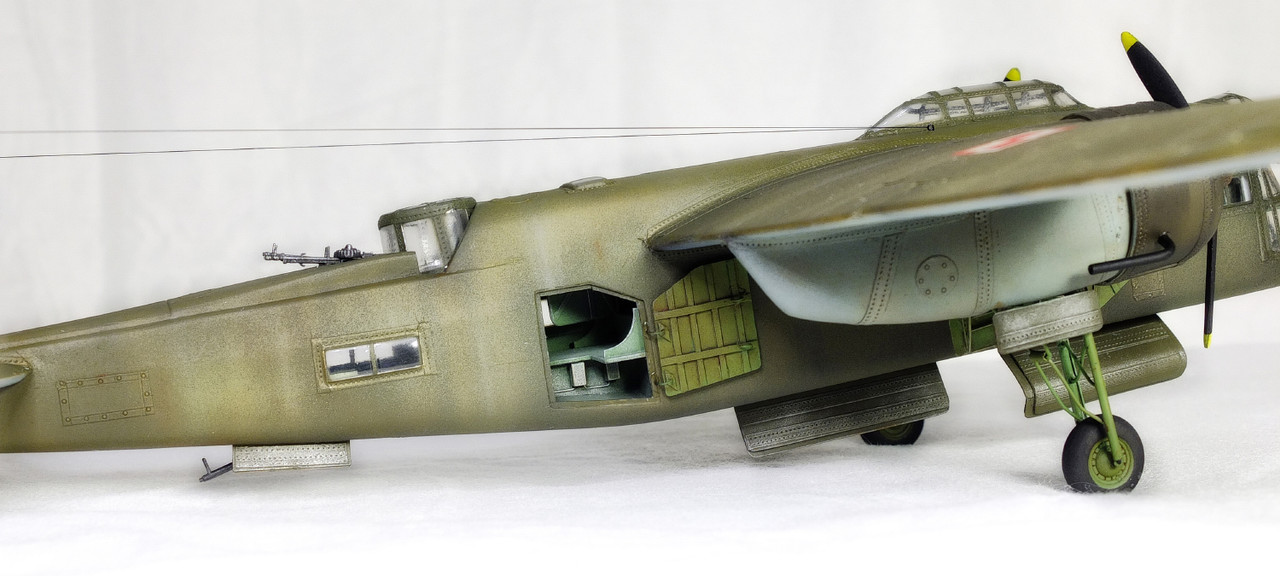 LWS-6 ZUBR - Ready for Inspection - Aircraft - Britmodeller.com