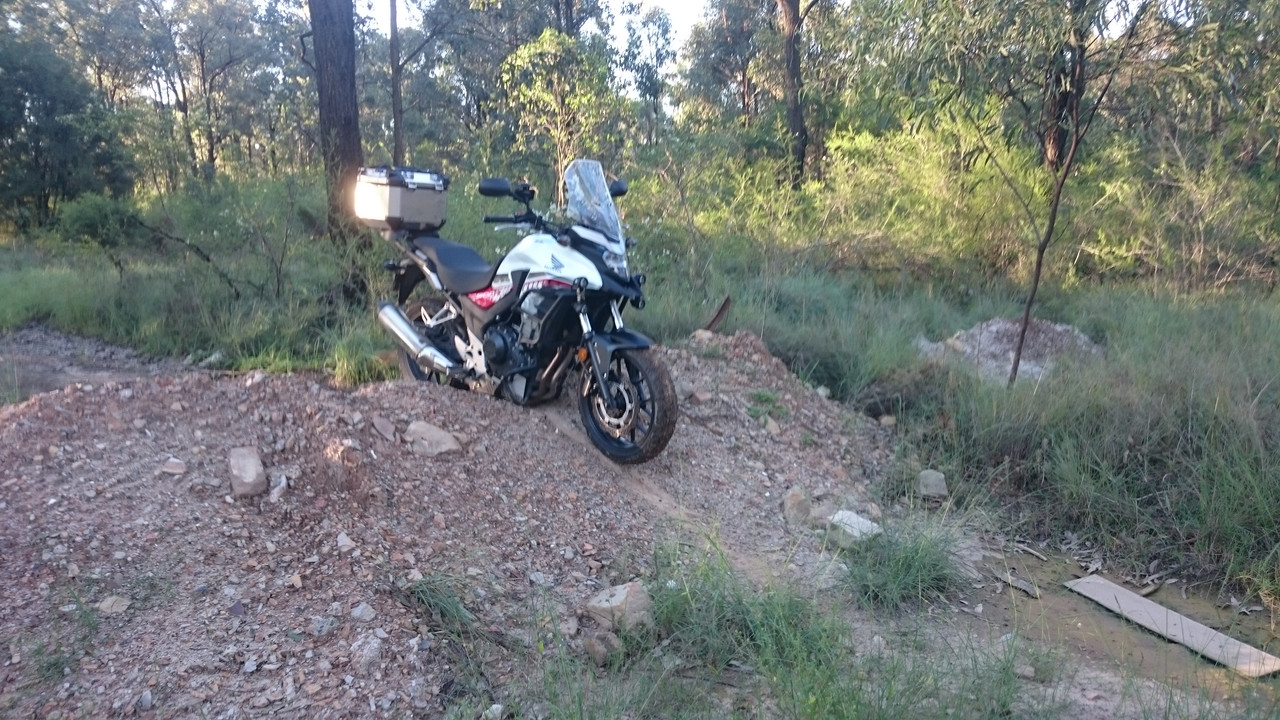 DSC 0341 — Postimages