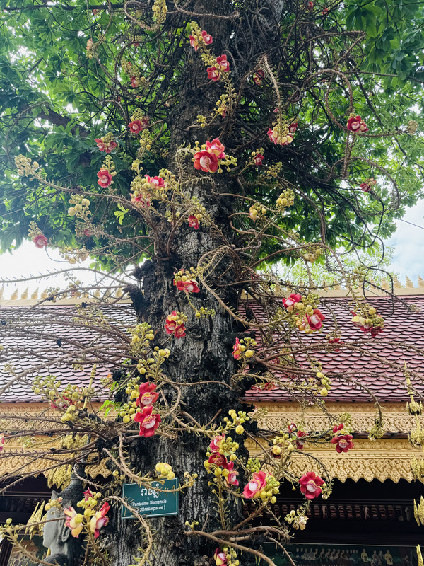 IMG 2163 — Postimages